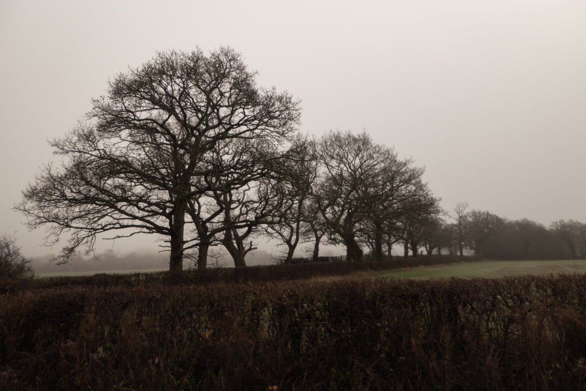 Black Boy Walk - Knowle Ramblers